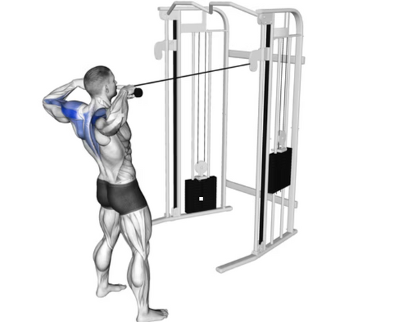 Face Pulls Top 15 Face Pull Variations For Shoulder Health Face Pulls Top 15 Face Pull Variations For Shoulder Health