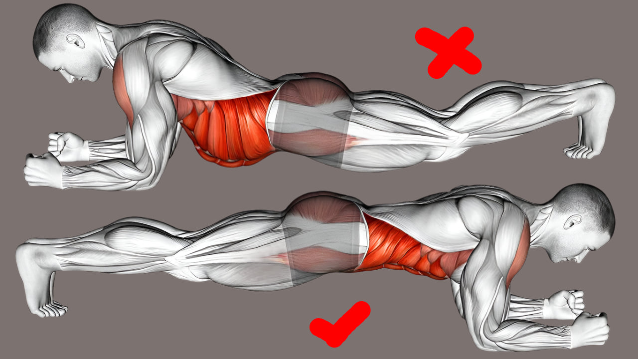 What Muscles Do Planks Work Variations And Benefits For Your Training