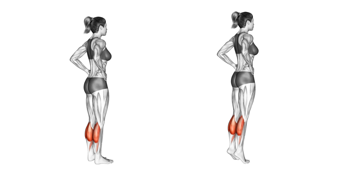 Calf Raises - Muscles Used & Variations of this Classic Exercise ...