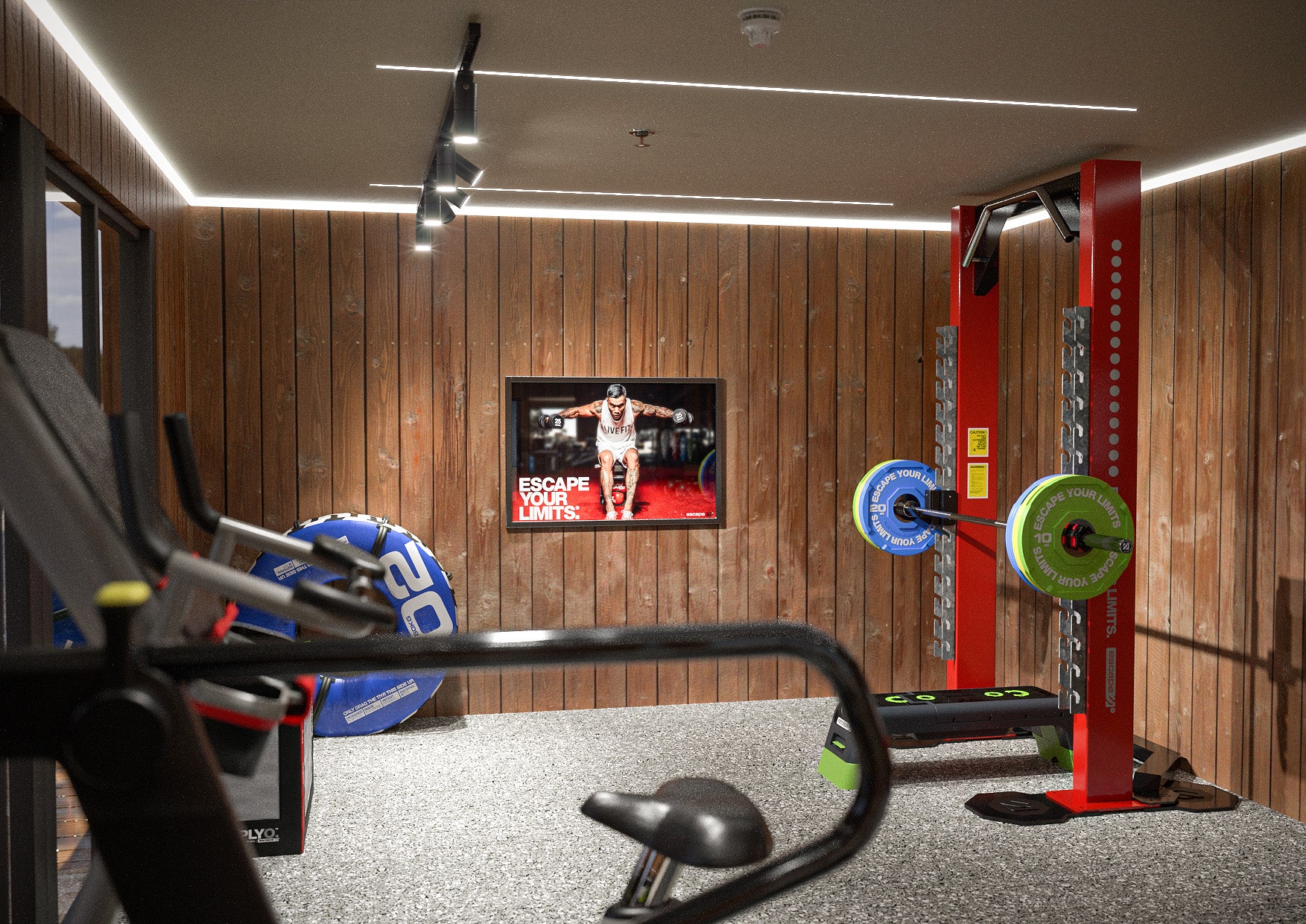 Garden Room Gym Design & Ideas - Training Station